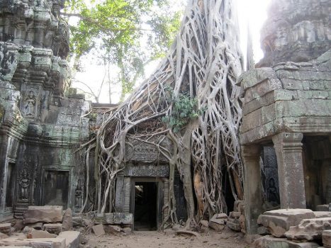 Ta Prohm Temple - All You Should Know Before Visiting in 2022
