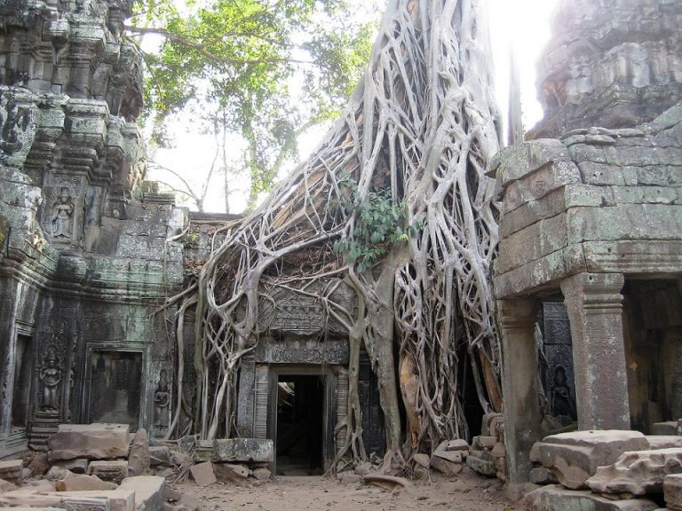 Ta Prohm Temple - All You Should Know Before Visiting in 2022