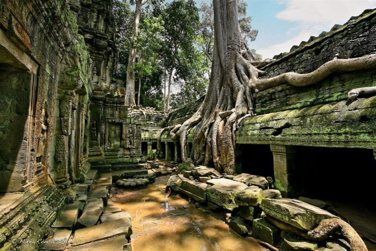 Ta Prohm Temple: A complete guide to understand and visit