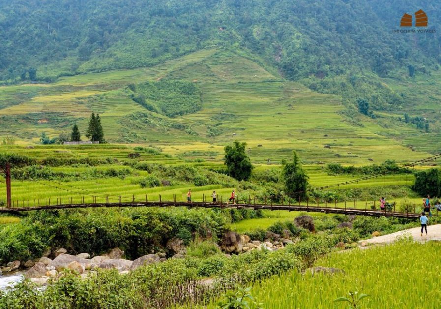 9 Spectacular Vietnam Rice Fields - Best Time to Visit and Must-Do ...