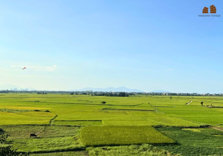 9 Spectacular Vietnam Rice Fields - Best Time to Visit and Must-Do ...