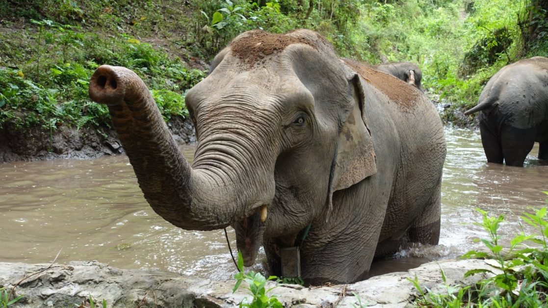 Pakbeng Laos: Off-the-Beaten-Path Bliss for Curious Travelers