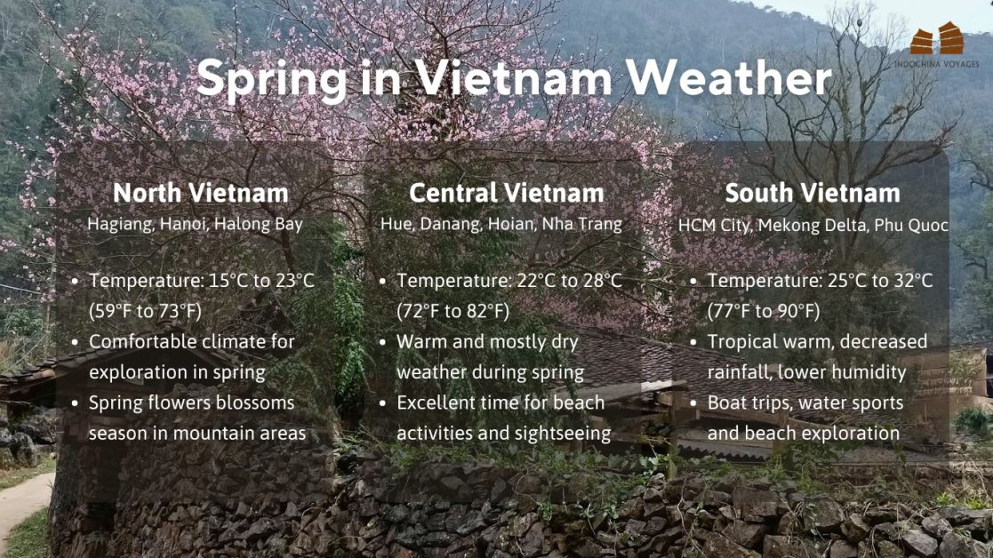 Spring in Vietnam - best time to visit & Travel guide