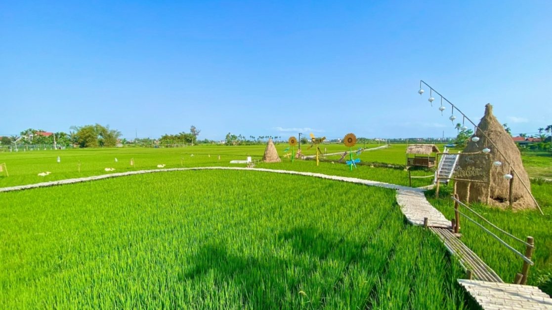 10 best rice fields in Vietnam to visit from North to South in 2025
