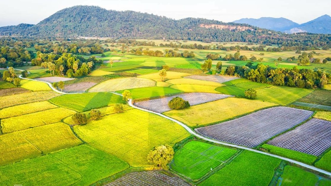 10 best rice fields in Vietnam to visit from North to South in 2025