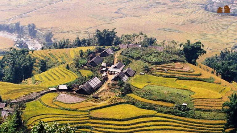 10 best rice fields in Vietnam to visit from North to South in 2025
